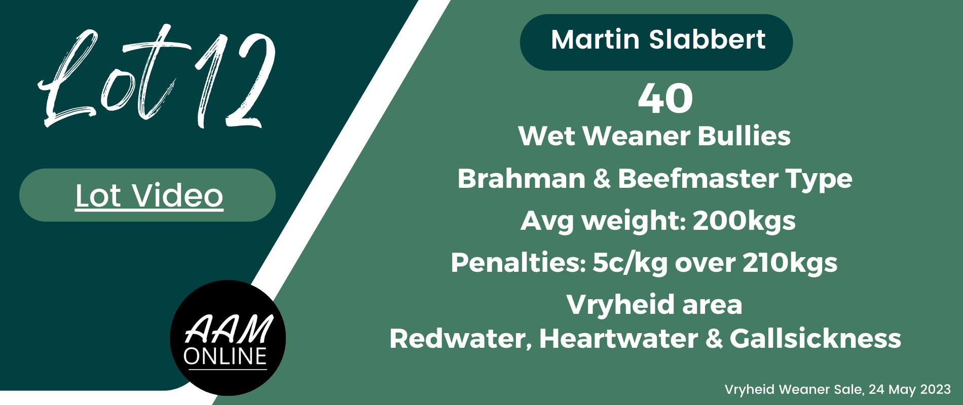 AAM Online Auction Portal